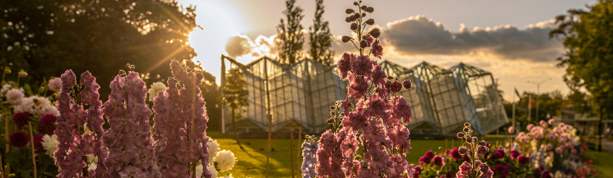 Lake Wendouree and Tullaroop - VFA